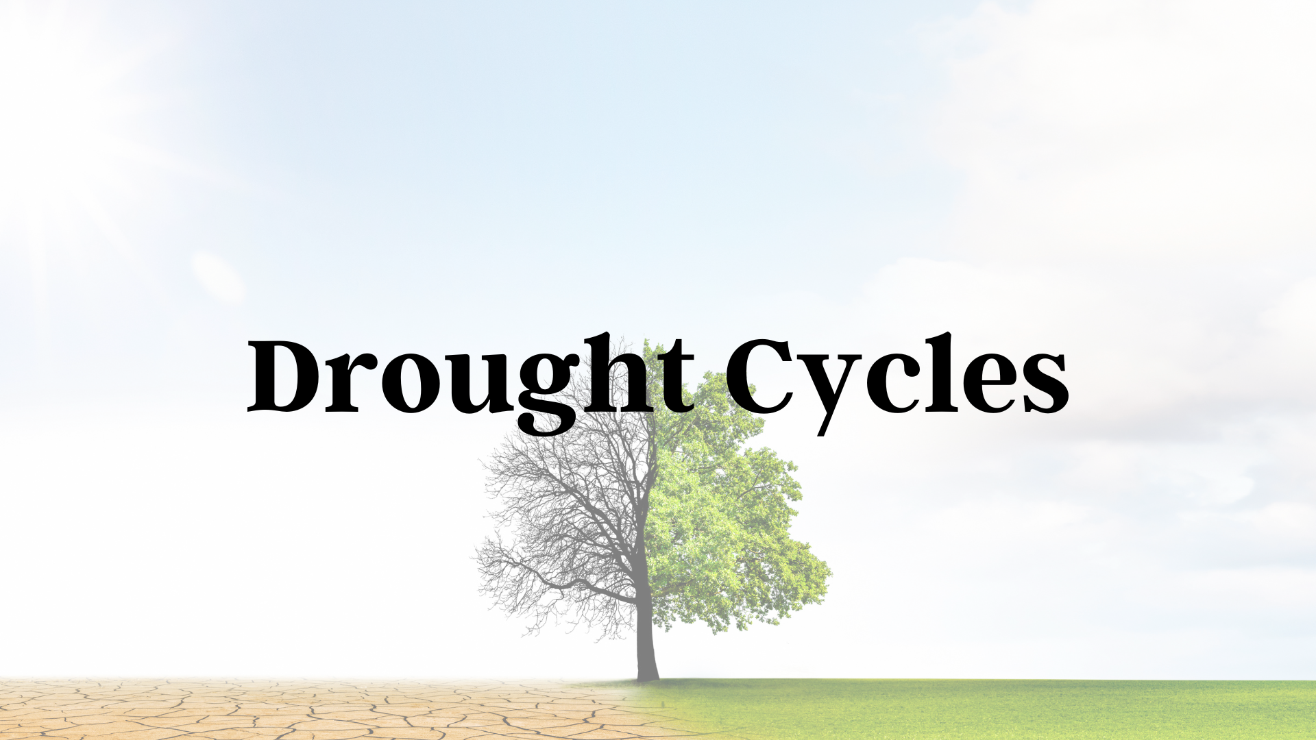 Index - 40-Year Cycle